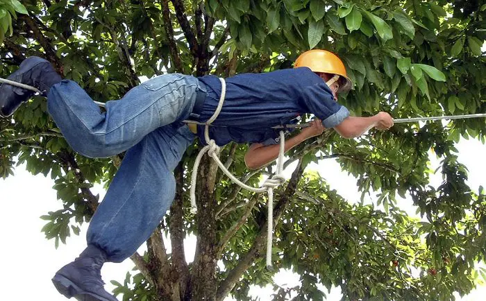 Danger Zone: High-Risk Warrant Service - SWAT Survival | Weapons | Tactics