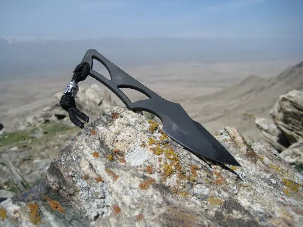 Danger Zone: High-Risk Warrant Service - SWAT Survival | Weapons | Tactics