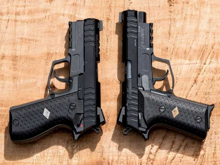 LIONHEART REGULUS: Double Action Plus! - SWAT Survival | Weapons | Tactics