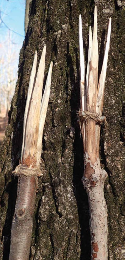 Souped-Up Wooden Camp Survival Tools - SWAT Survival | Weapons | Tactics