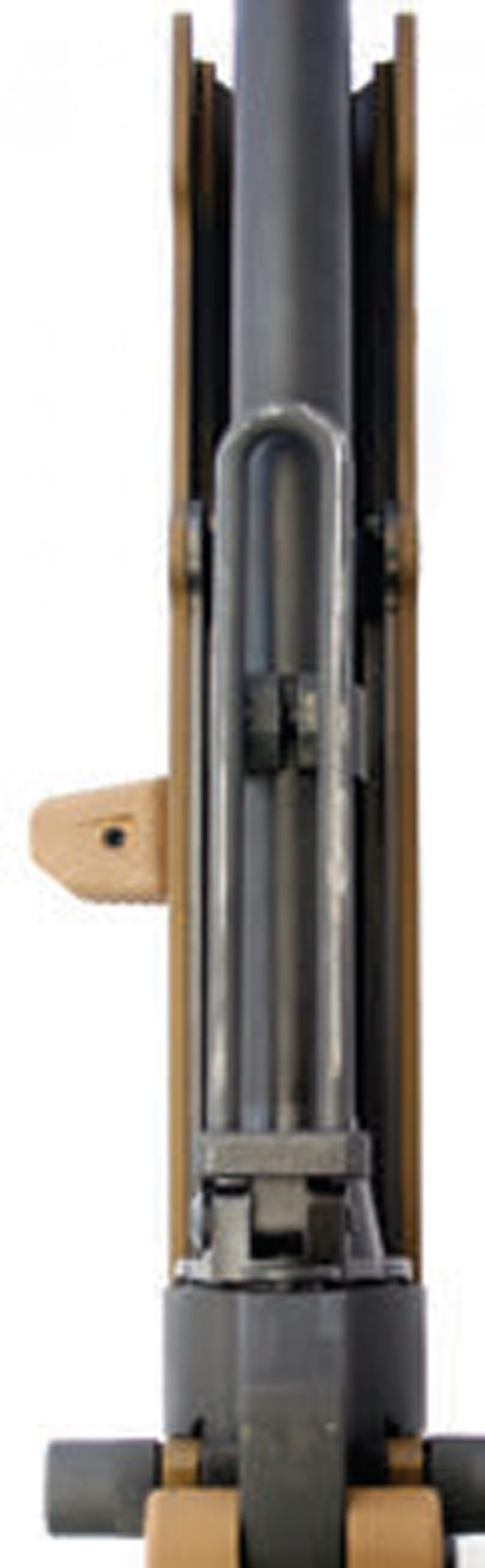 Bushmaster ACR vs. AR - SWAT Survival | Weapons | Tactics