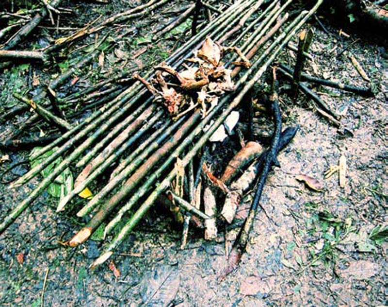 Primitive Cooking - SWAT Survival | Weapons | Tactics