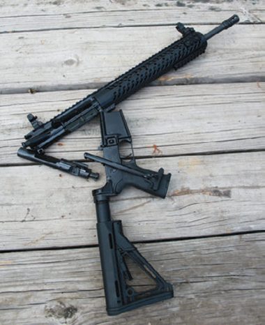 Del-Ton Evolution AR - SWAT Survival | Weapons | Tactics