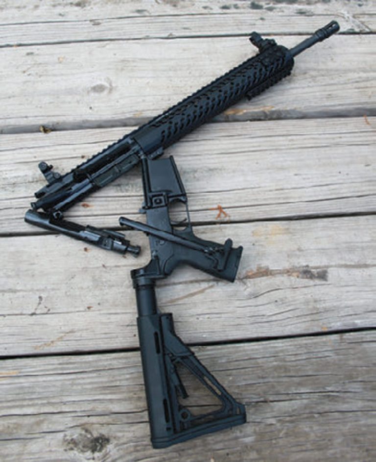 Del-Ton Evolution AR - SWAT Survival | Weapons | Tactics