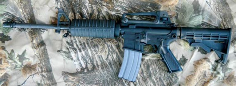 SIG Sauer M400 - SWAT Survival | Weapons | Tactics