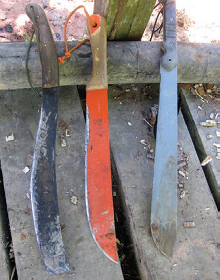 Gearing Up for a Jungle Expedition - SWAT Survival | Weapons | Tactics