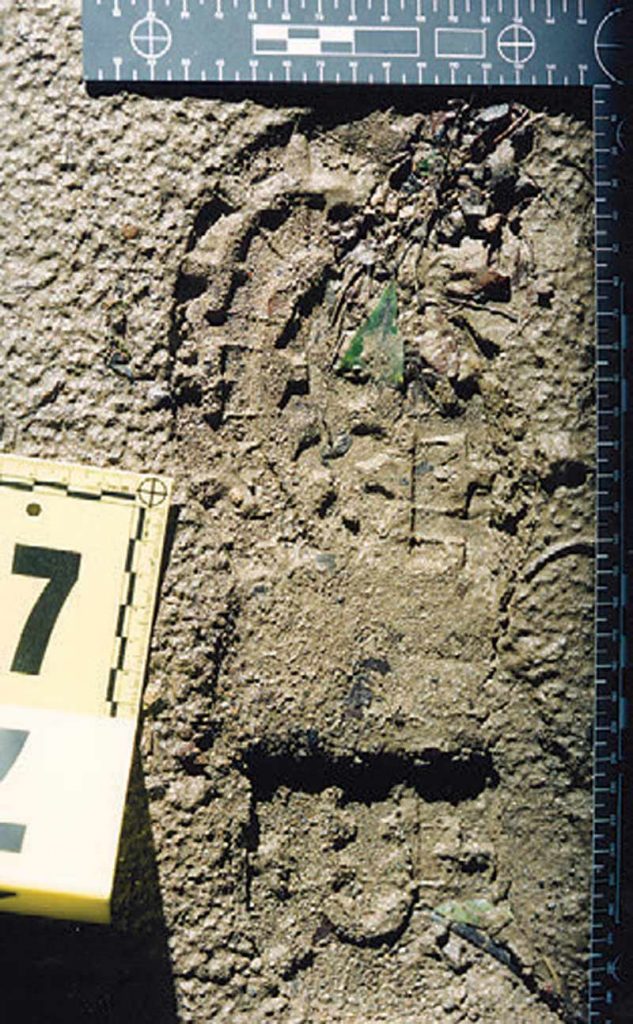 Tactical Tracking - SWAT Survival | Weapons | Tactics