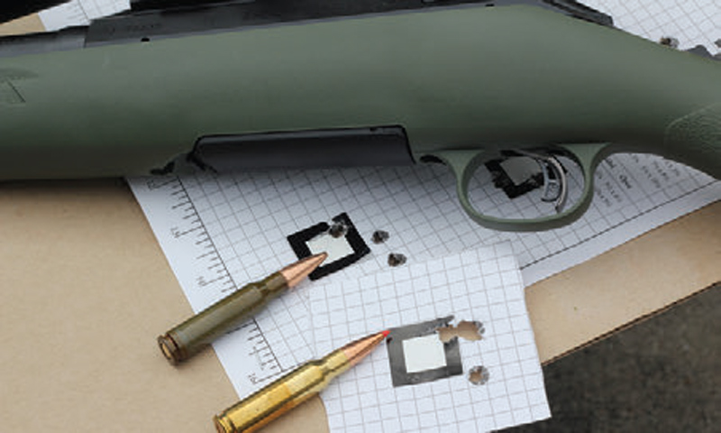 Ruger American Predator .308 - SWAT Survival | Weapons | Tactics