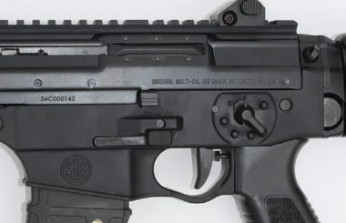 SIG 556xi - SWAT Survival | Weapons | Tactics