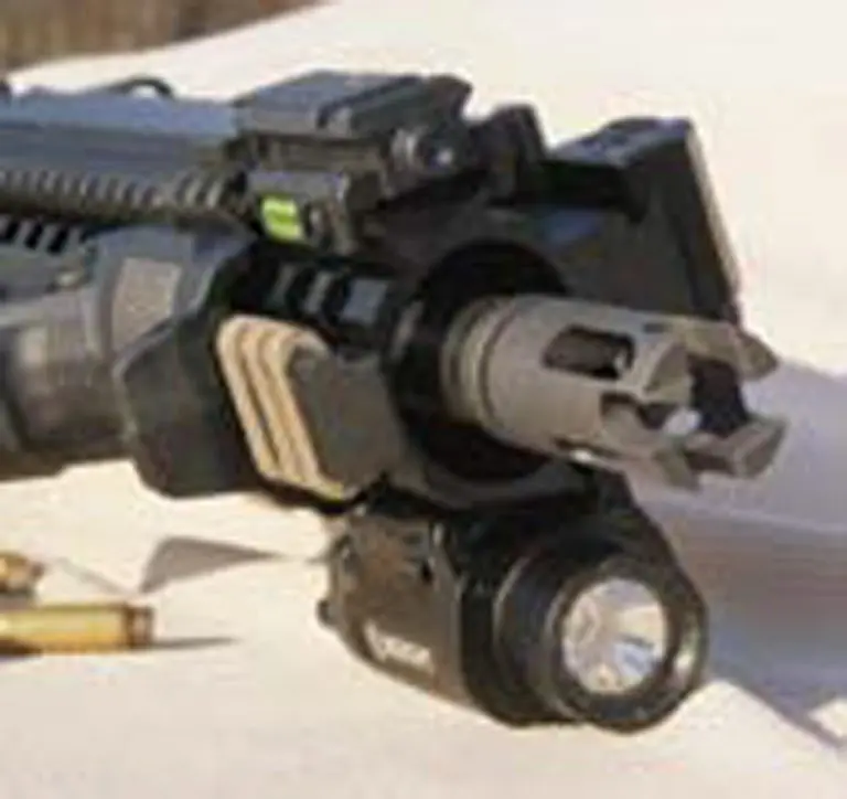 P90 Goes AR-15 - SWAT Survival | Weapons | Tactics