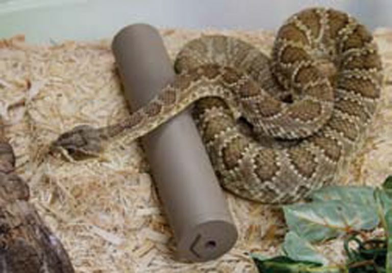 CanCorp Suppressors - SWAT Survival | Weapons | Tactics