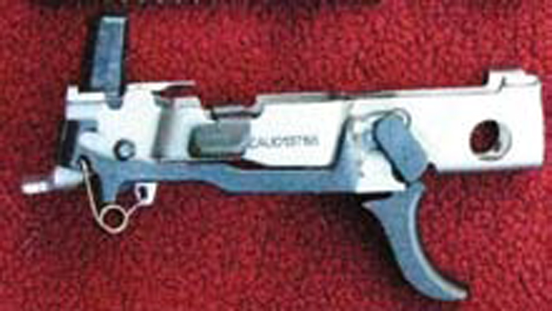 SIG Sauer Subcompact P250 - SWAT Survival | Weapons | Tactics