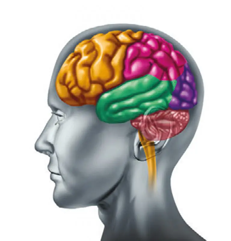 The Head-Shot Triad - SWAT Survival | Weapons | Tactics