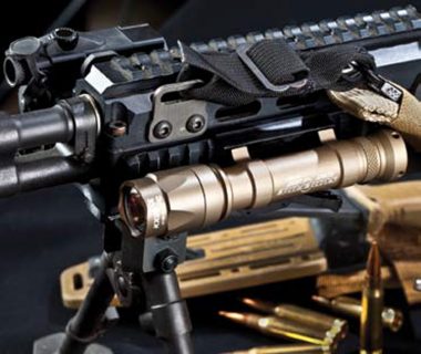 Mark 14 Mod 0 Enhanced Battle Rifle - SWAT Survival | Weapons | Tactics