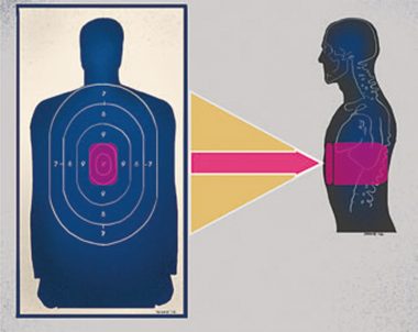 Proper Bullet Placement - SWAT Survival | Weapons | Tactics