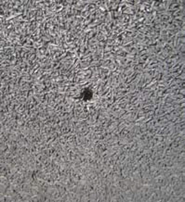 Proper Unloading Procedures - SWAT Survival | Weapons | Tactics