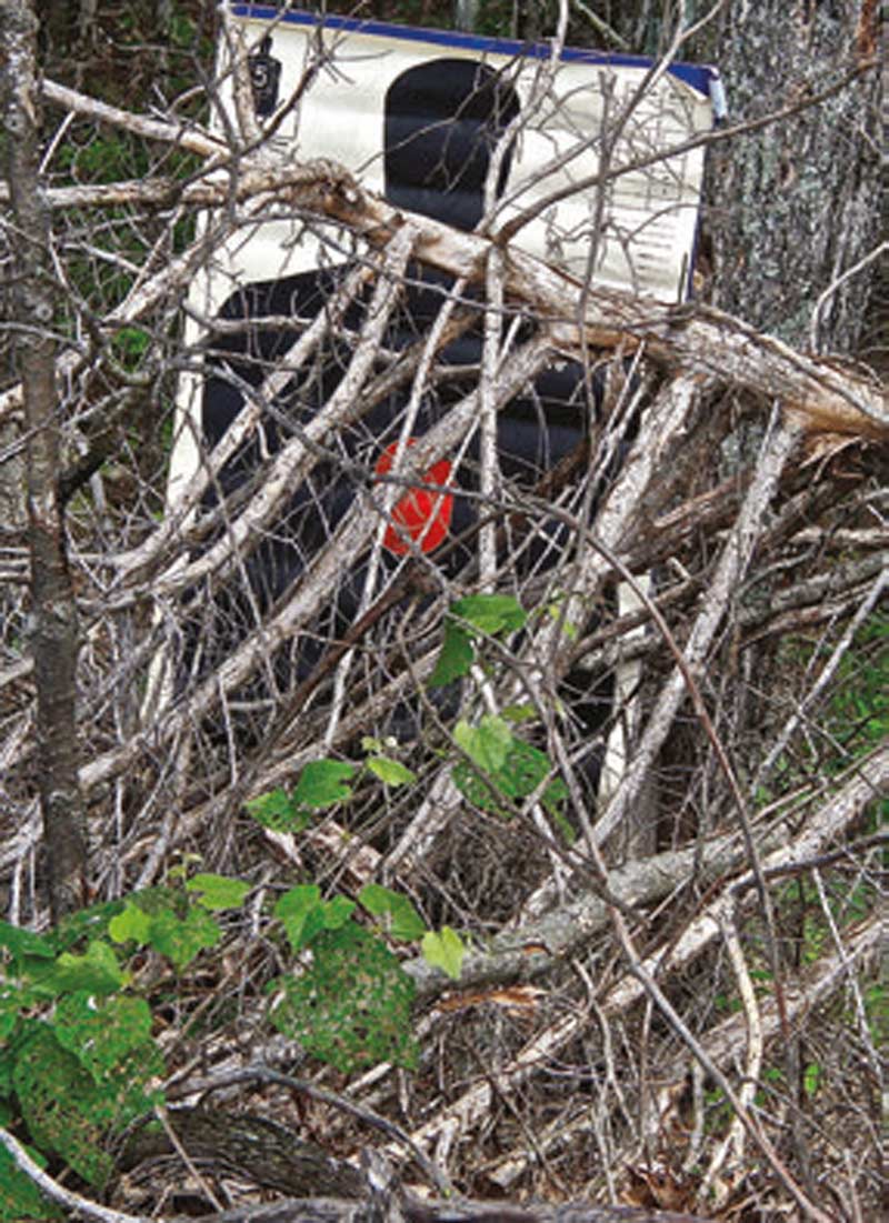 Sabot Designs Flechettes - SWAT Survival | Weapons | Tactics